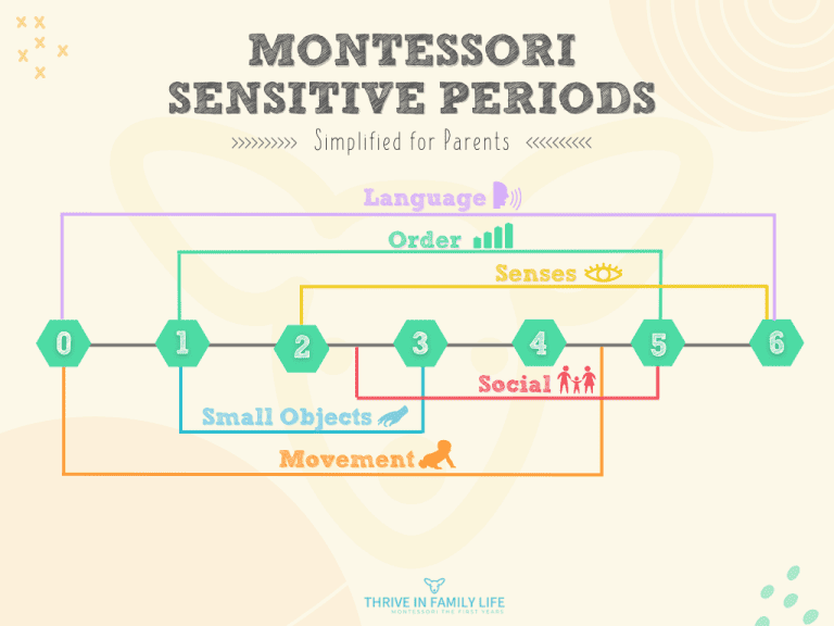 Key Montessori Principles | Simplified for Parents - Thrive in Family Life